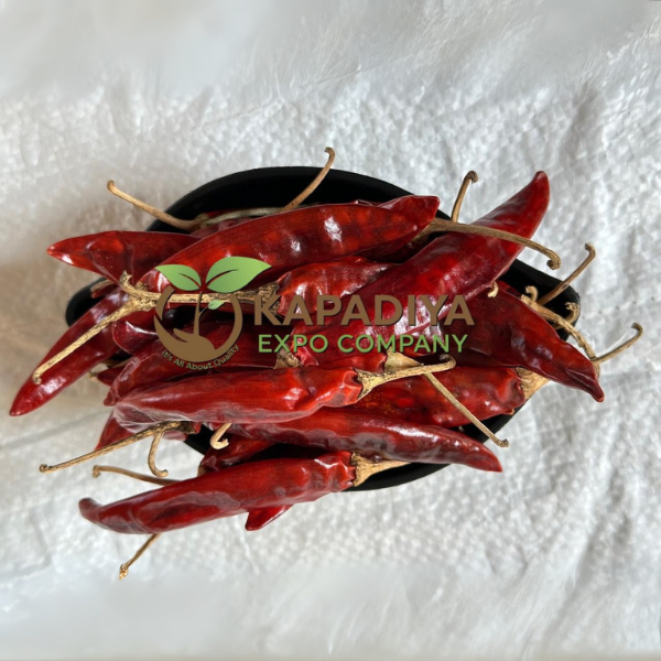 S4 Chilli/ Sanam Chilli - Kapadiya Expo Company